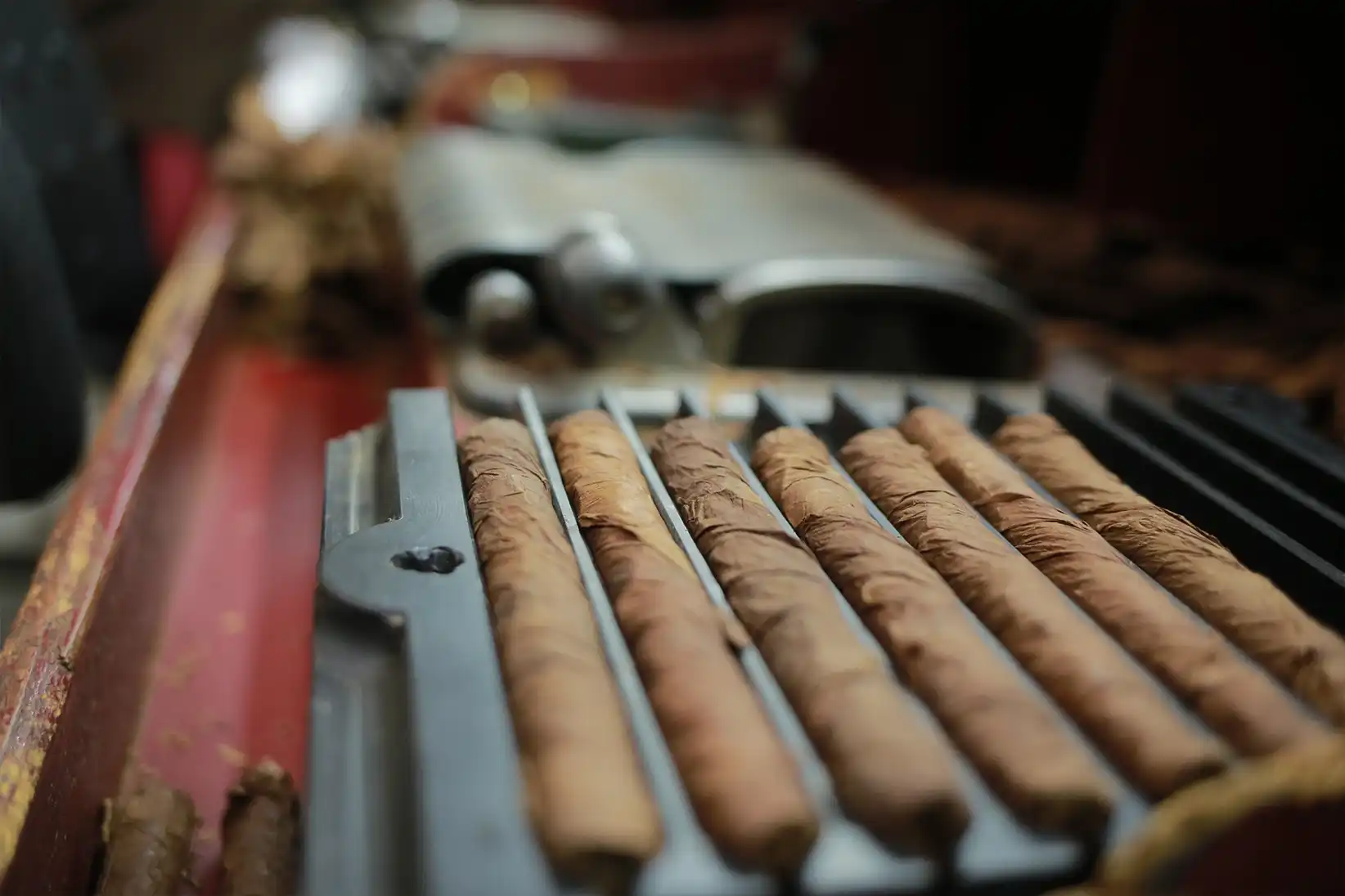 Best Cigar Factory Tours You Can't Miss in the Dominican Republic